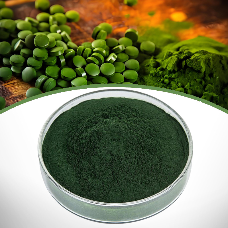 Chlorella Powder - Yongzhou Jingmu Biotechnology Co., Ltd.